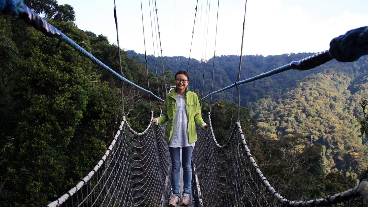 Canopy Walk In Nyungwe - Akagera National Park Rwanda